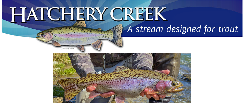 NKFF April Virtual Club Meeting