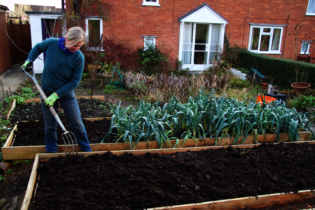 Making no dig beds on lawn: the card and compost method - Stephanie ...