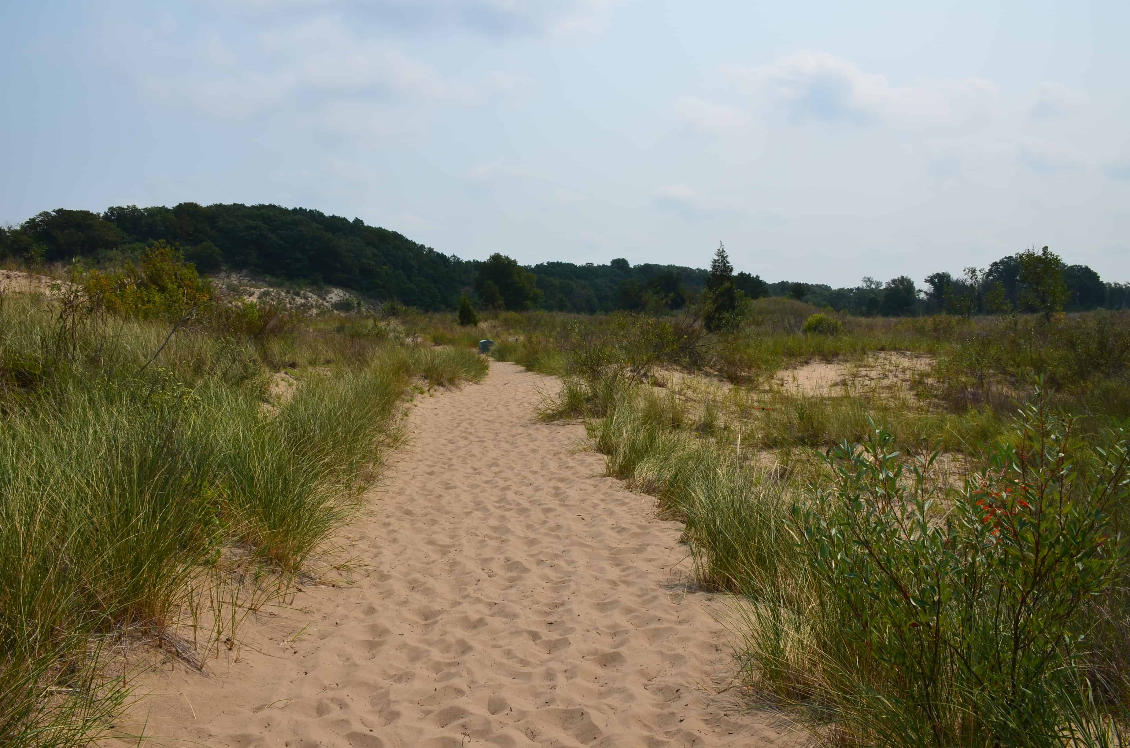 West Beach (Indiana Dunes National Park) - Nomadic Niko