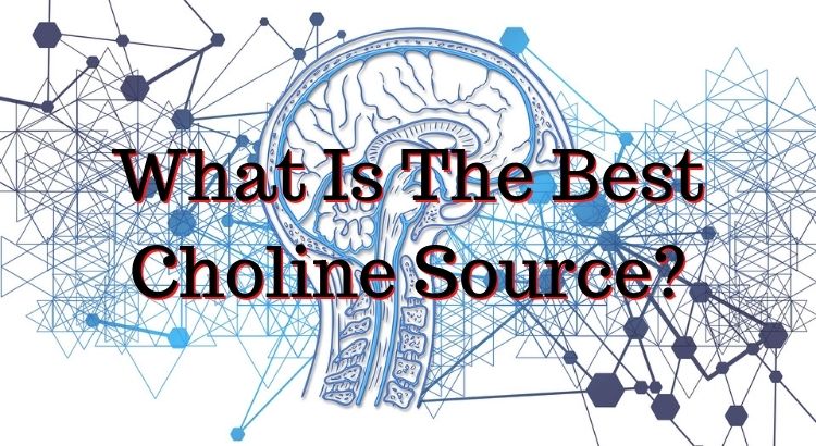 What Is The Best Choline Source? - Nootropics Zone