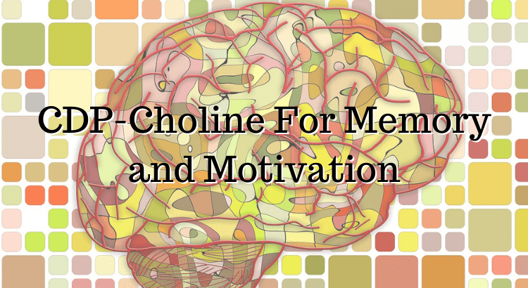 CDP-Choline For Memory And Motivation - Nootropics Zone