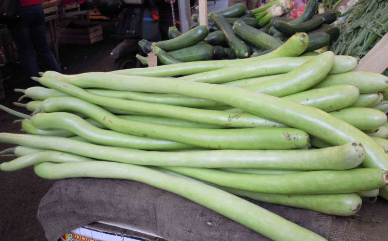 Cucuzza, long pale-green Italian squash for easy summer meal - Norman ...