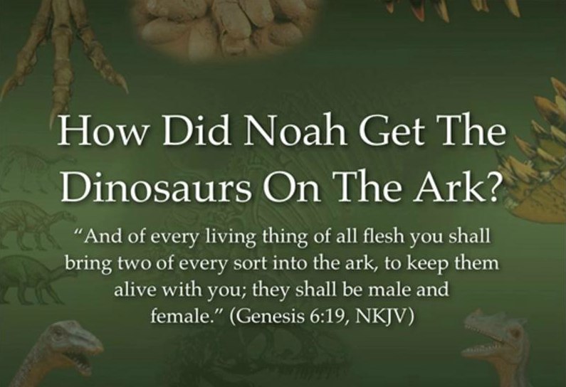 How Did Noah Fit The Dinosaurs On The Ark? | PreacherNorm
