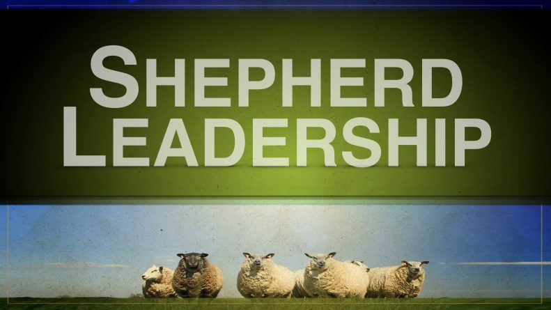 Shepherd Leadership — PreacherNorm