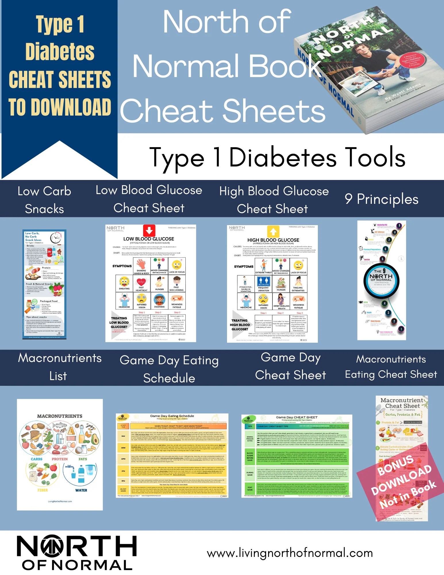 North Of Normal邃 Type 1 Diabetes Cheat Sheets