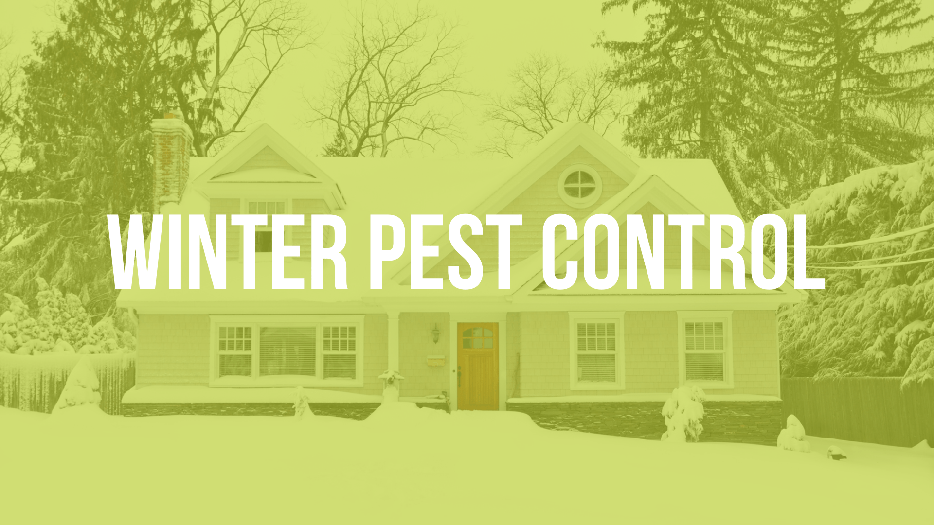 Winter Pest Control - Nova Pest Control Winter Pest Control