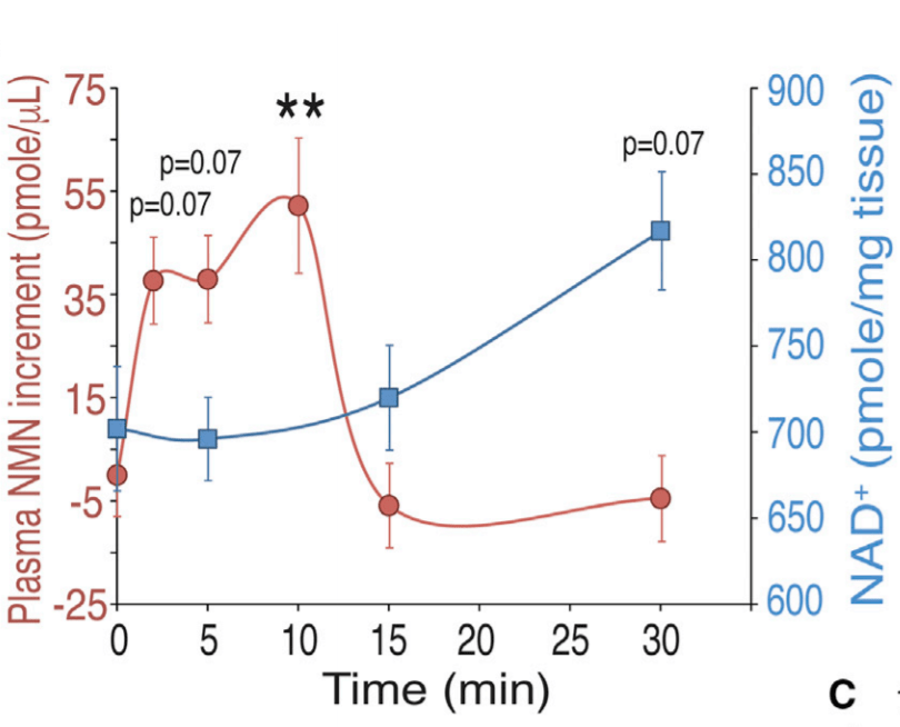 Is NMN better than NR? NMN vs NR (Nicotinamide mononucleotide versus ...