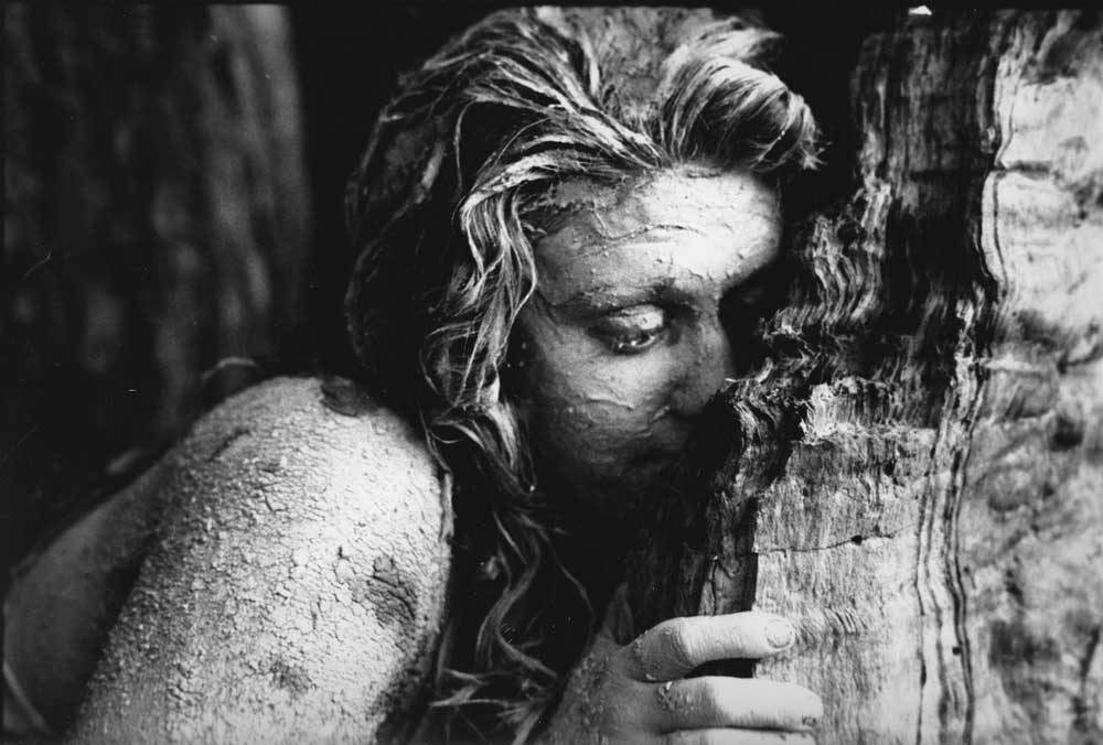 A day of mourning for Nova Scotia’s forests & wildlife | Nova Scotia ...