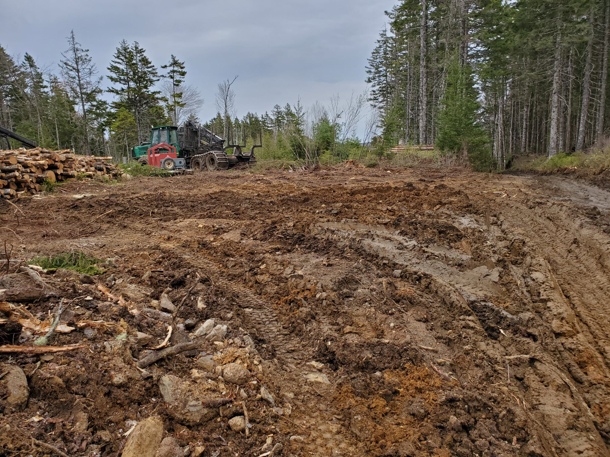 “Somewhere in Nova Scotia” some less-than-exemplary logging practices ...