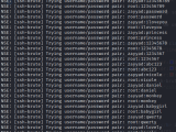 How To Brute Force Ssh Login Credentils 4 Best Methods