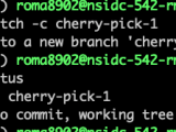 Cherry Pick On Github Nsidc Technical Blog