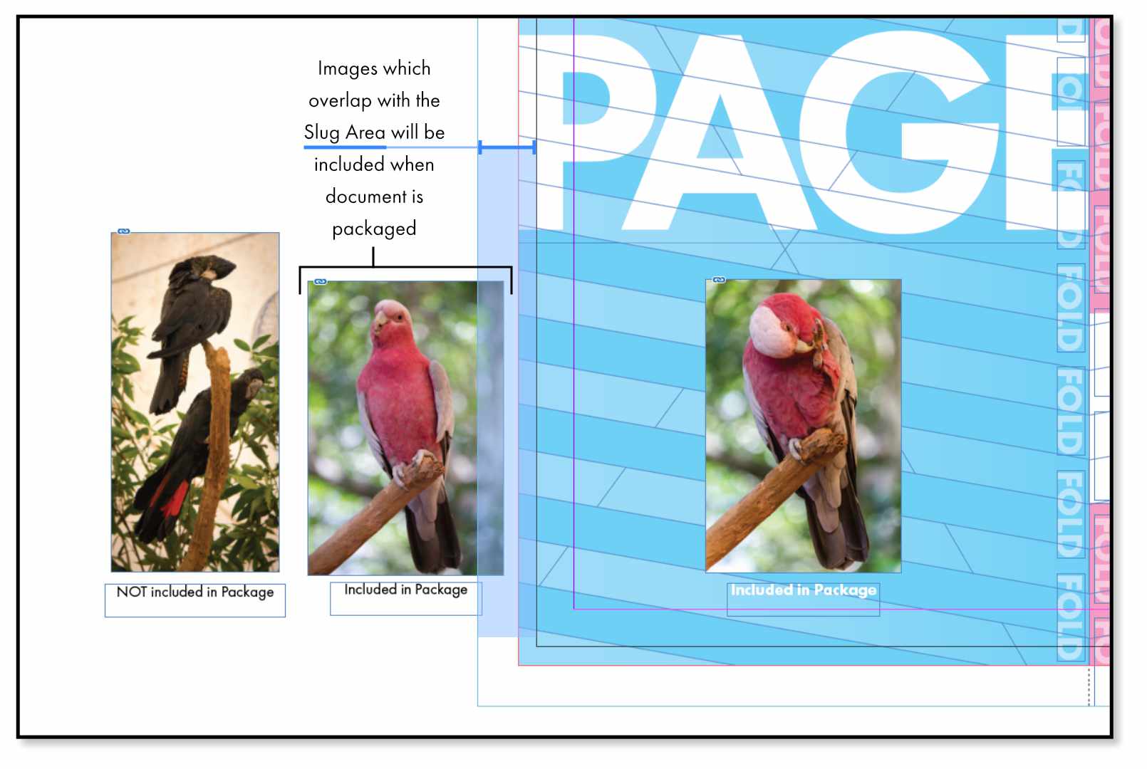 The Slug Area in Adobe InDesign | Nukefactory