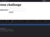 Nullcon Temptation Nullbrunk