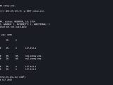 Nullcon Zoney Nullbrunk