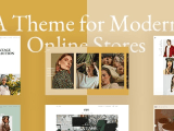 Nullecode Wordpress Premium Themes Plugins And Scripts Php