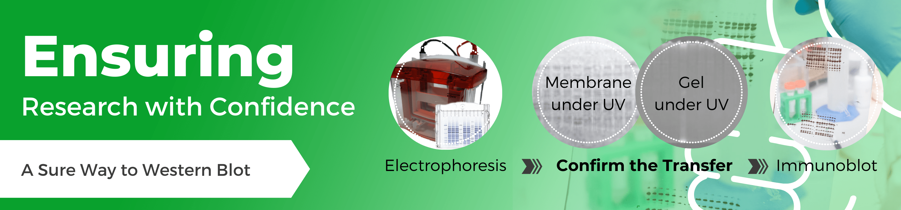 nUView for Research | NuSep