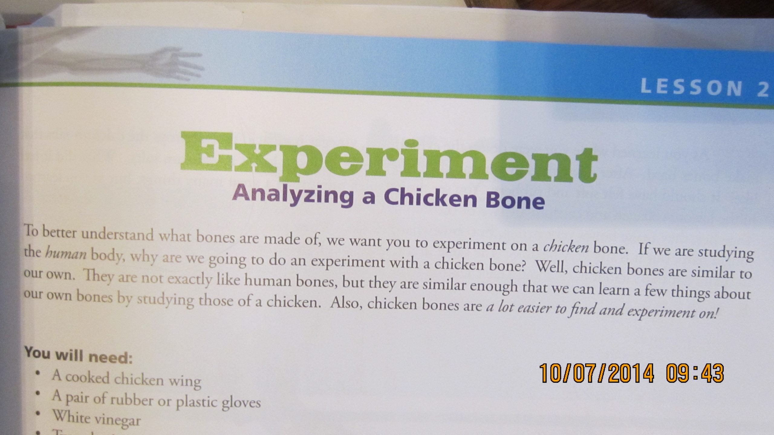 Science-bones (1) « NutBugs