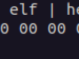 Secret Of Binary Elf Nutcrackerssecurity