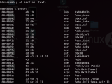 How To Create Your Own Shellcode Part I Nutcrackerssecurity