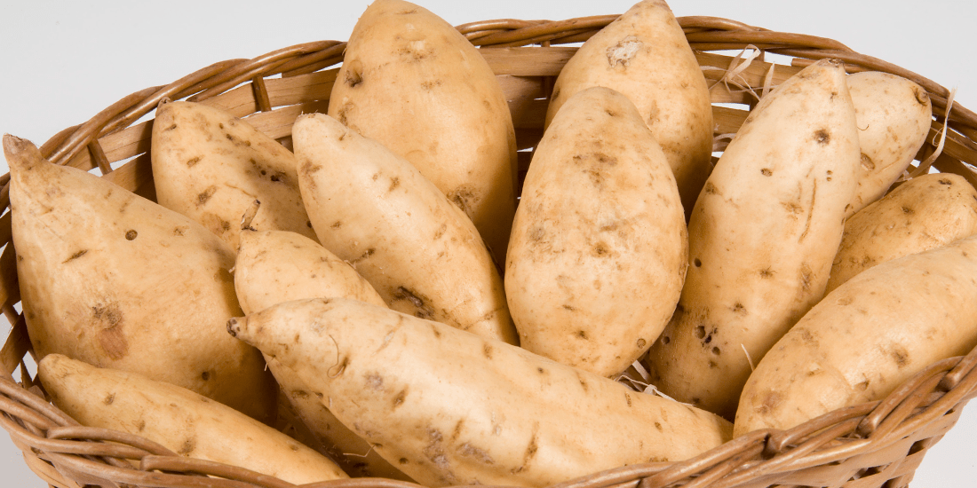 Batata yacon, a grande aliada dos diabéticos! - Nutri Fran