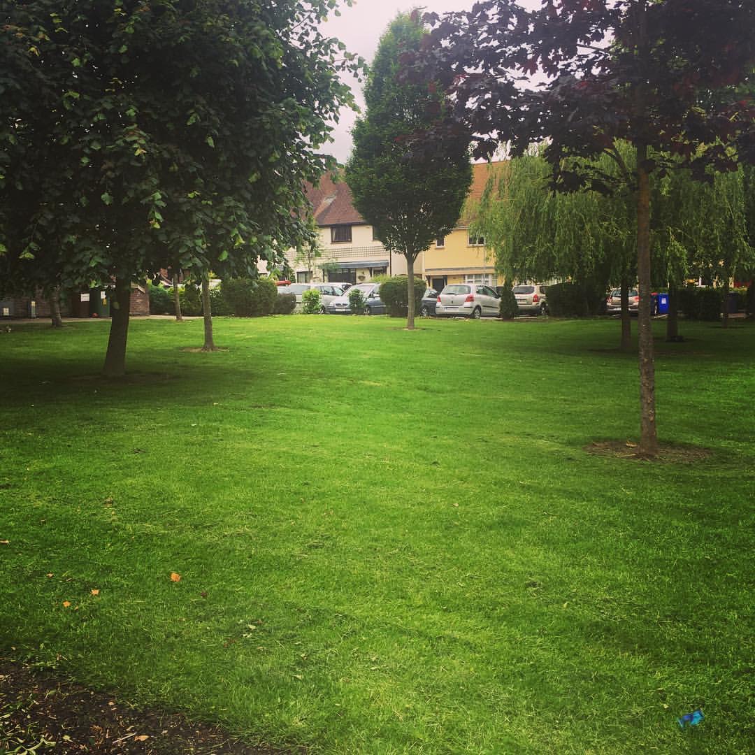 How to Spruce up a Tired Lawn - Oakleaf Landscaping Dublin & Meath