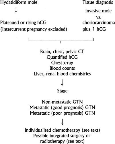 Gestational Trophoblastic Neoplasms | Obgyn Key