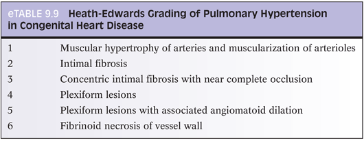 The Lung | Obgyn Key