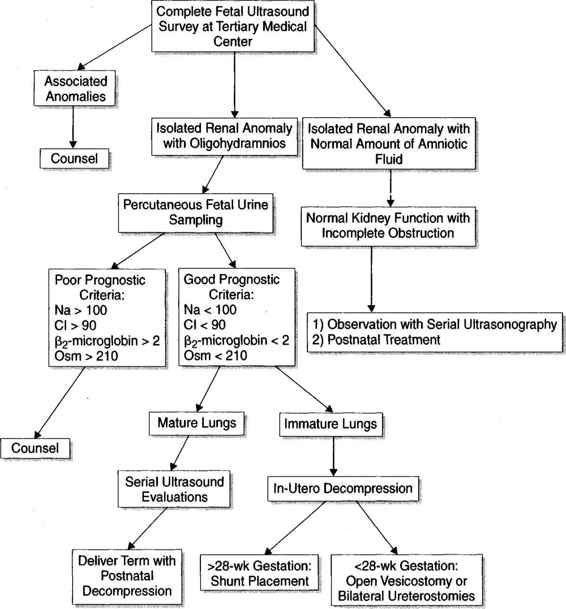 The Fetus as a Surgical Patient | Obgyn Key