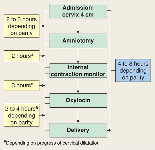 Normal Labor | Obgyn Key