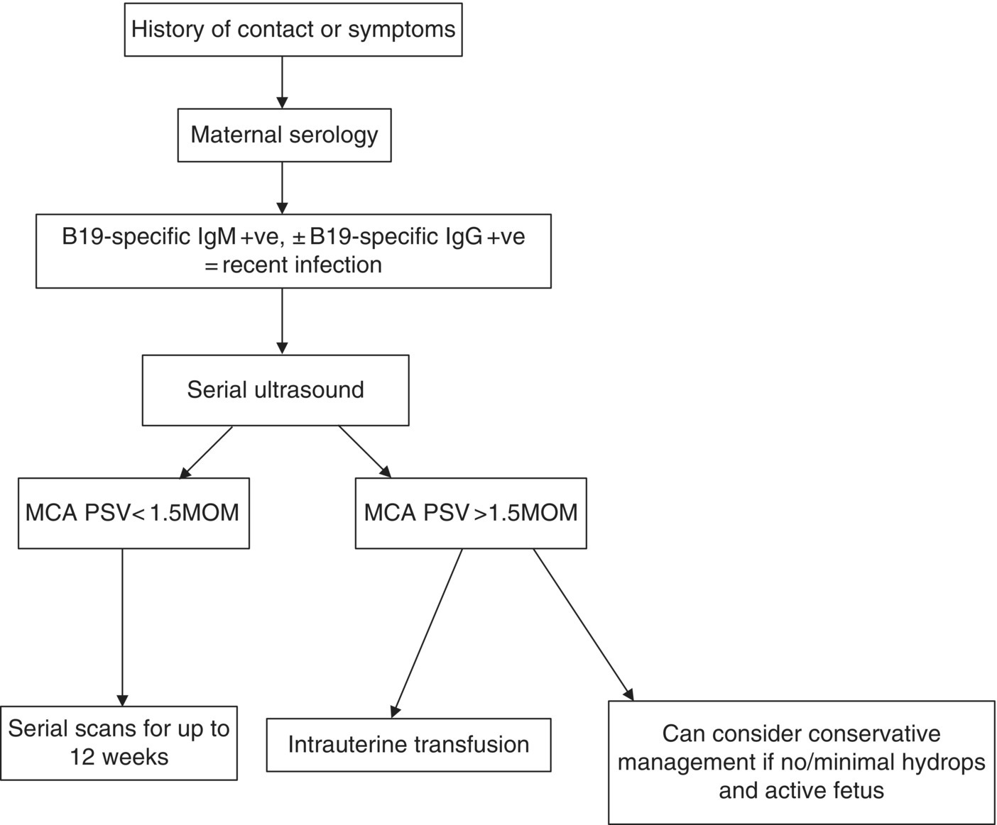 Fetal Medical Conditions | Obgyn Key