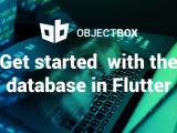 How To Start Using Objectbox Database In Flutter