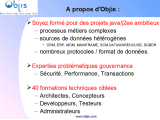 Objis 10 Ans D Expertise Et Pédagogie Java Objis