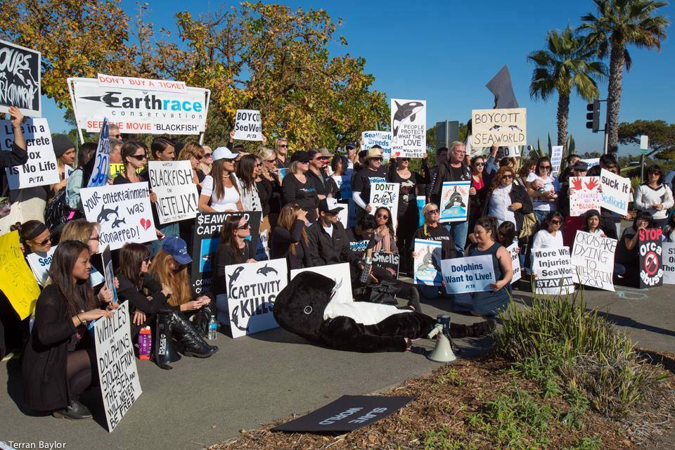 Protest at SeaWorld on January 19th – OB Rag