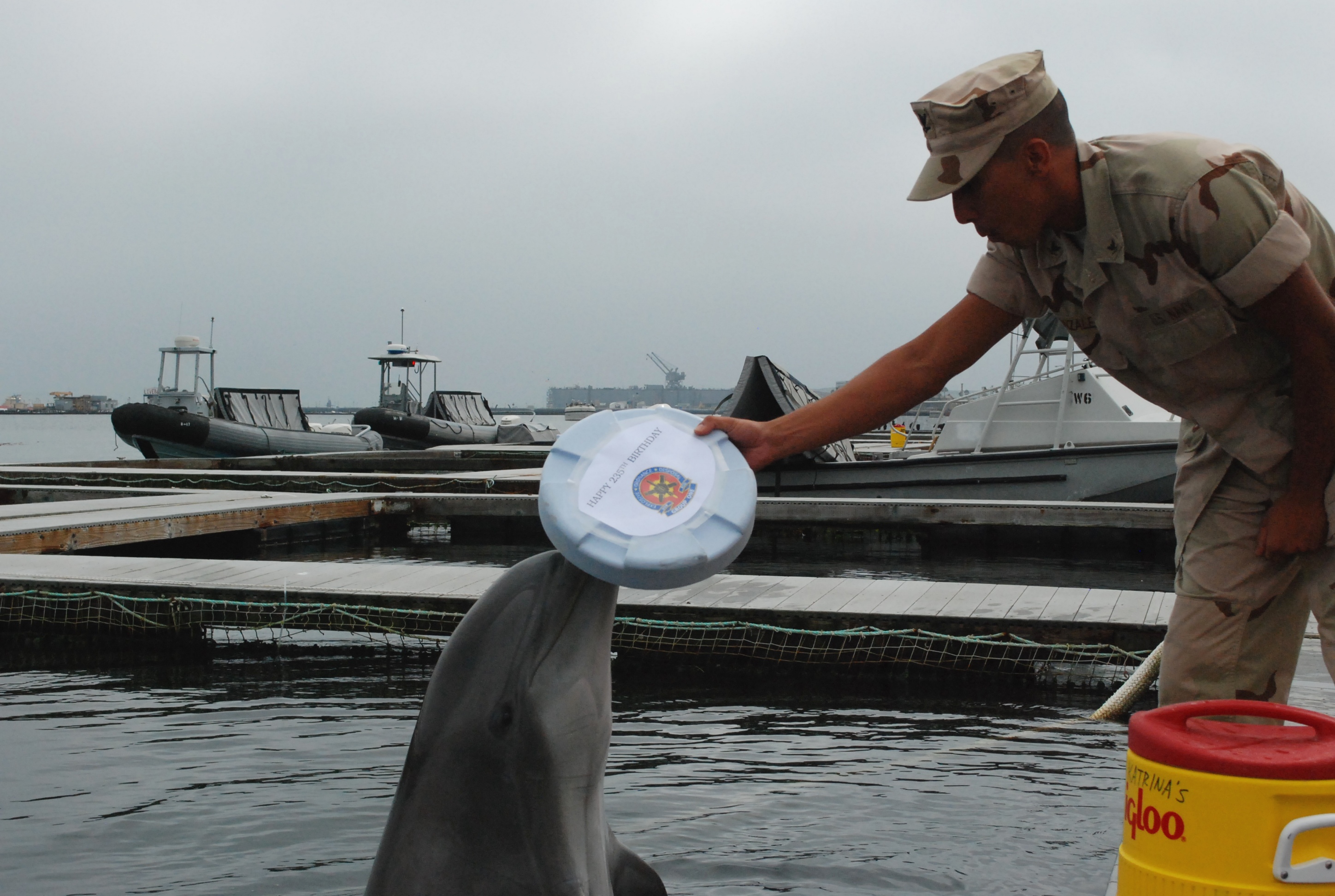 Diver Drowning in Navy Dolphin Program Should Never Have Happened – OB Rag