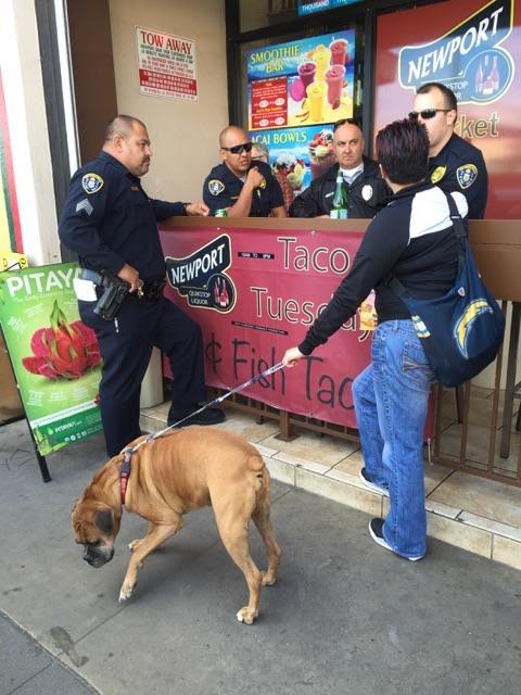 Craig Miller Died on Christmas Day in Ocean Beach – OB Rag