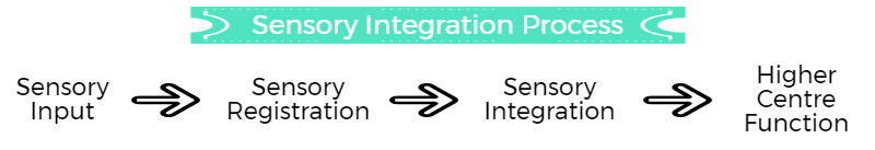 Sensory Integration | OccupationalTherapyOT.com