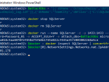 Running Sql Server Developer In A Windows Based Docker Container