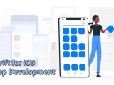 Ios Development With Swift Ios Swift Development