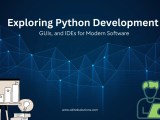 Python Development Python Frontend Development