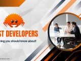 Rust Developers Rust Programmers