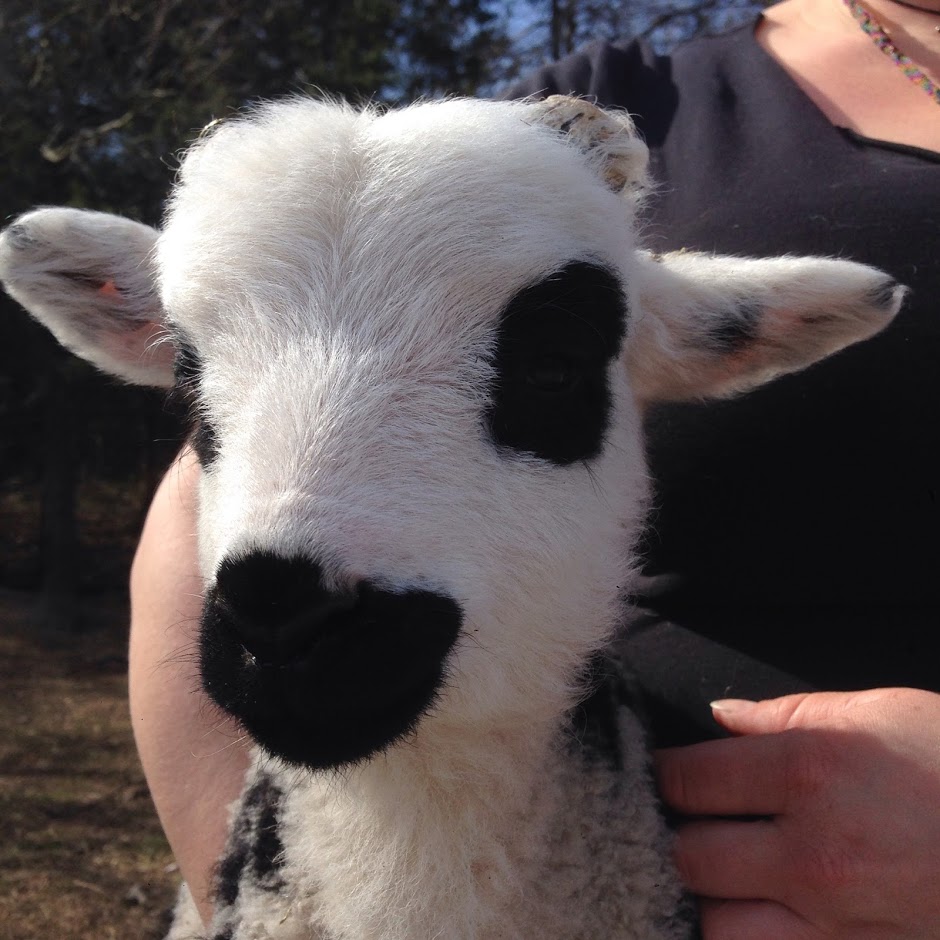 Jeanette Larson, Studio #14 – Off The Beaten Path Studio Tour