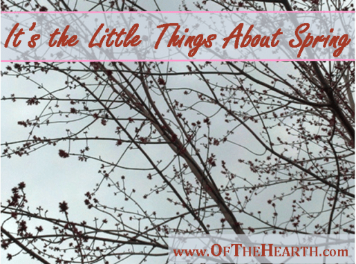 It’s the Little Things About Spring