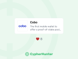 Portfolio Cobo Cypherhunter