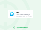 Hibit Infrastructure Cypherhunter