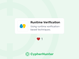 Runtime Verification Security Cypherhunter