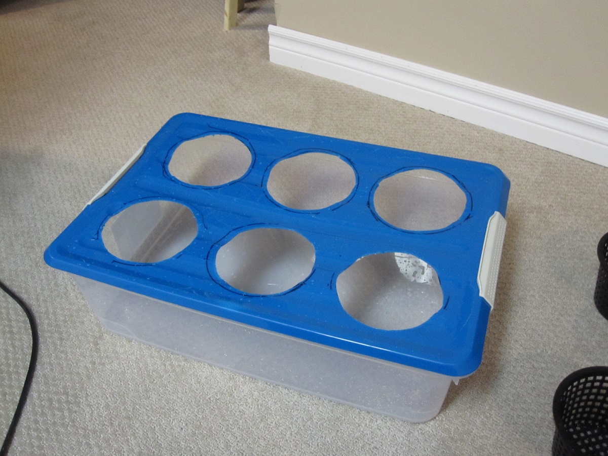 Hydroponic DWC setup – KingBain