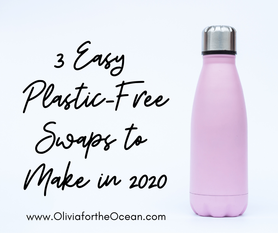 3 Easy Plastic-Free Swaps To Make in 2020 – Olivia for the Ocean
