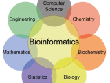 Introduction To Bioinformatics Omics Tutorials