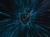 A Guide For Cfos Omnistruct