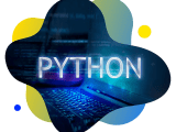 Top Python Development Company Python Development Service Omnist